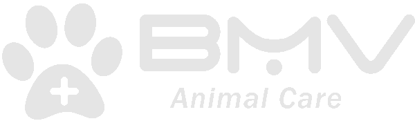 About BMV – Enabling Better, Smarter, Safer Healthcare | BMV Group ...