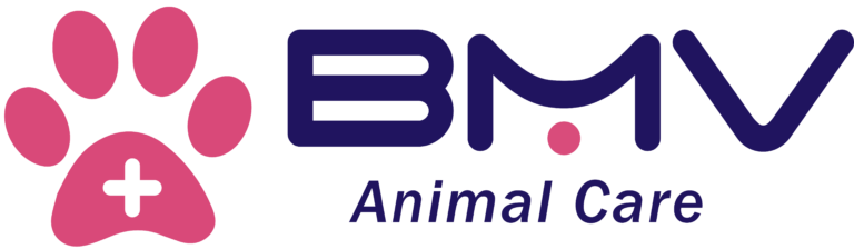 About BMV – Enabling Better, Smarter, Safer Healthcare | BMV Group ...