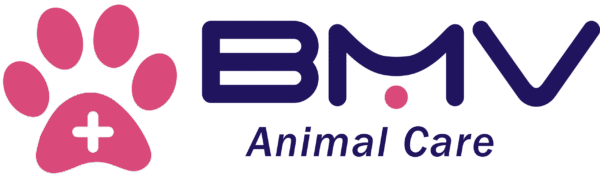 About BMV – Enabling Better, Smarter, Safer Healthcare | BMV Group ...